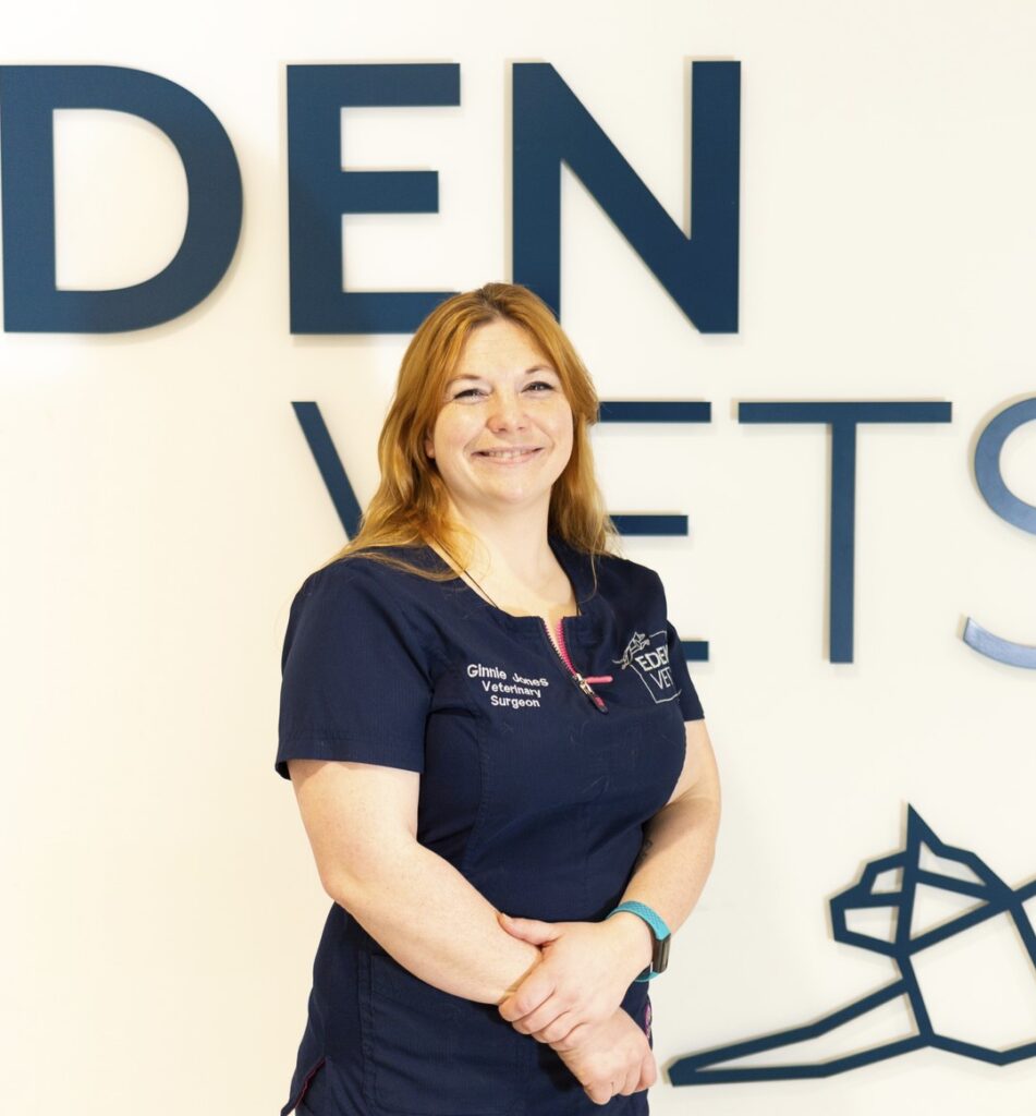 Meet The Team - Eden Vets