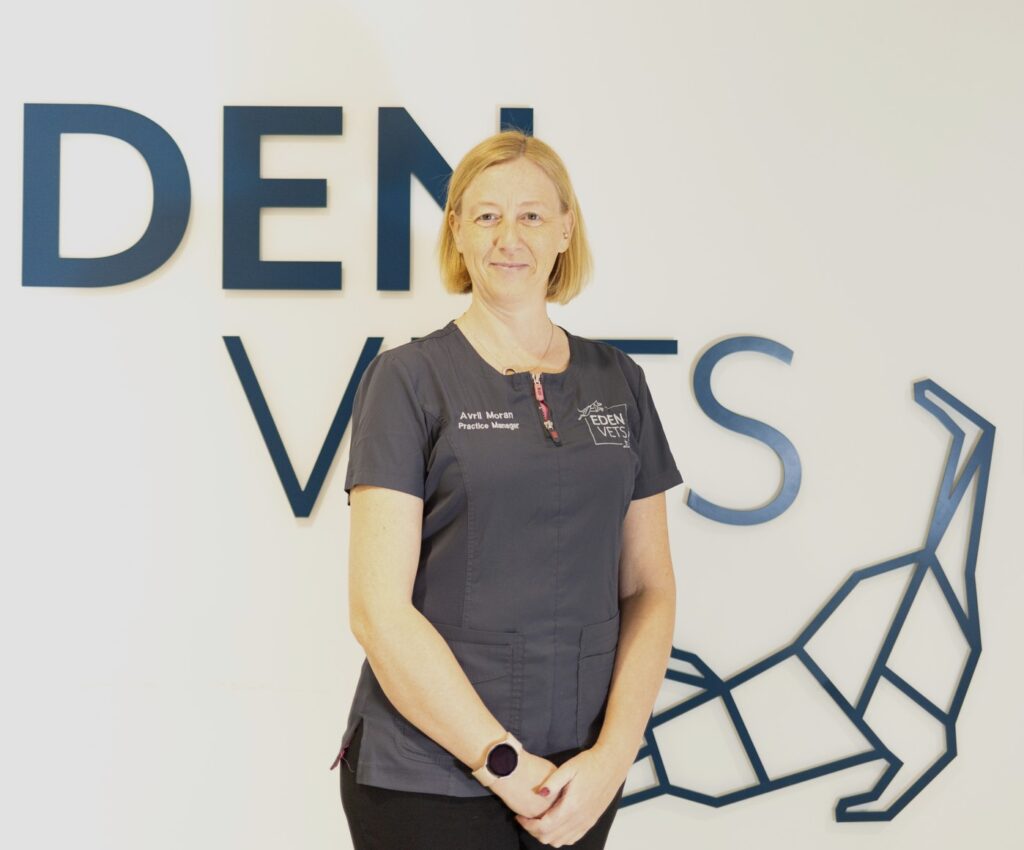 Meet The Team - Eden Vets