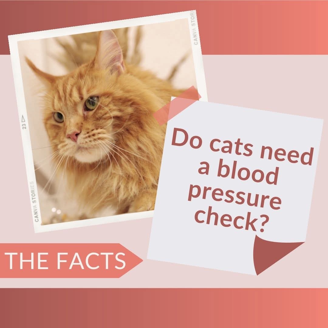 Eden Vets March Newsletter - Eden Vets Referrals